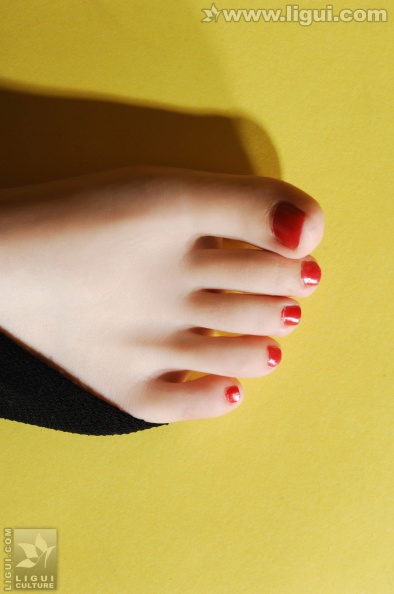 DSC 0970 | （福妹）主题相册